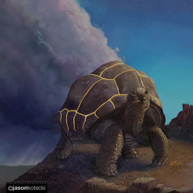 Kintsugi Tortoise – Escape Adulthood